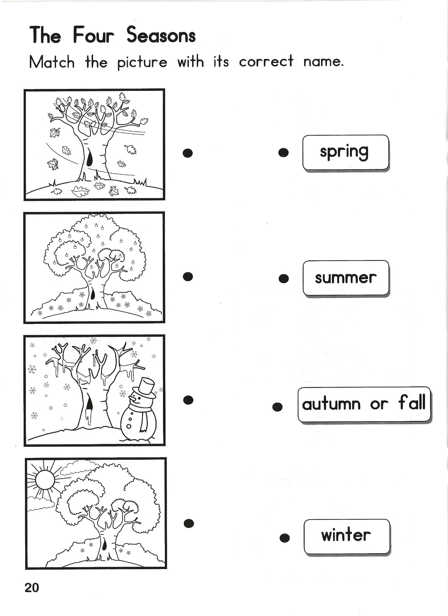 Elevate Virtuosity. Fun With Things Around Us